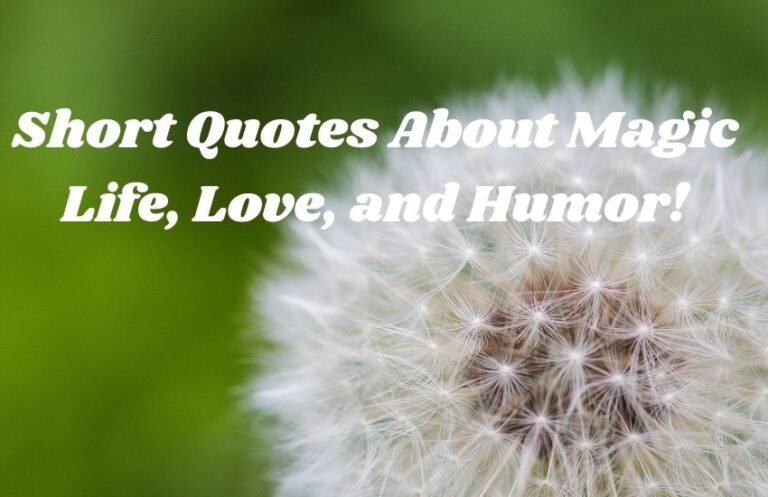 50 Short Quotes About Magic Life, Love, and Humor! - Your Mind's ...